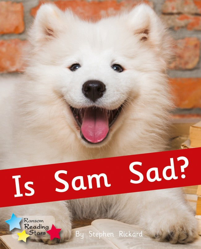 Is Sam Sad? [IP] – KATIB - Paper and Stationery at your doorstep